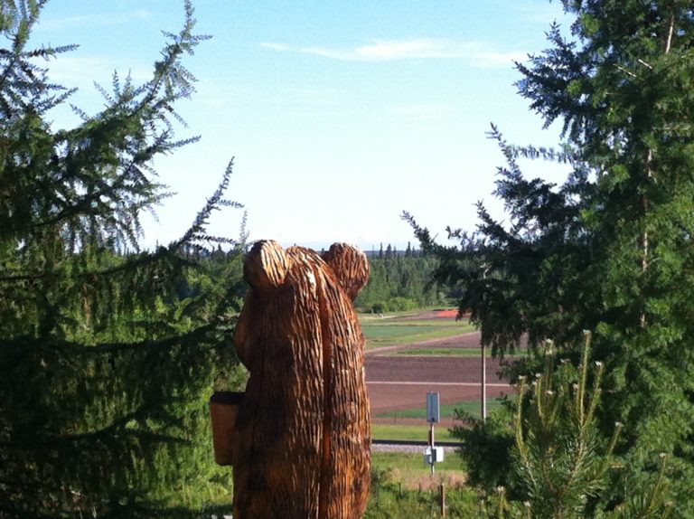 What to do in Fairbanks in the summer – FAIRBANKS INN – Fairbanks ...